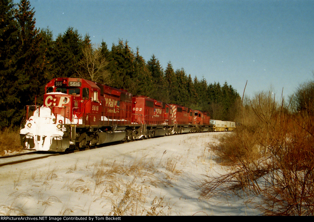 Finally out of the deep snow